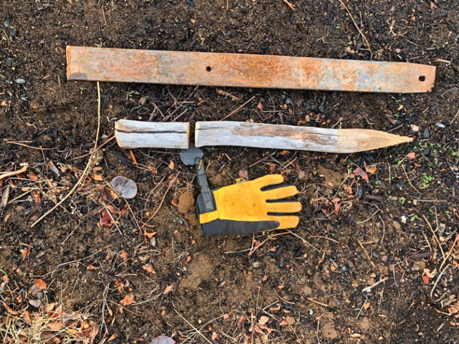 Worm Grunting: How to Get Worms Out of the Ground - Grit